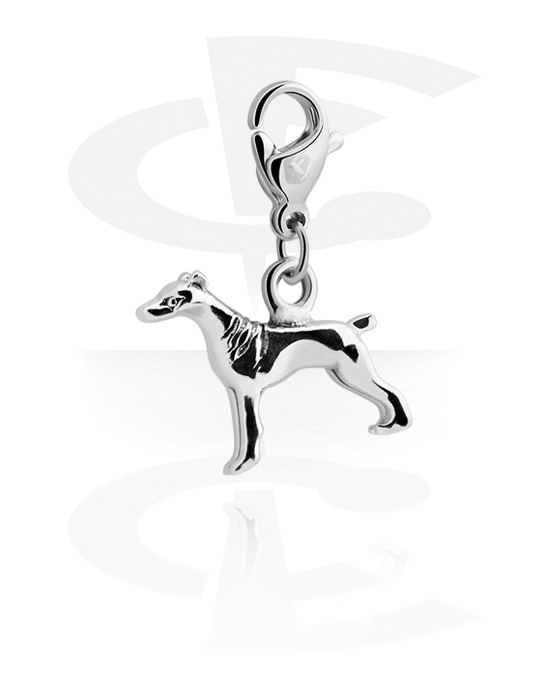 Charm for Charm Bracelet (Surgical Steel 316L) | The World's No.1 ...