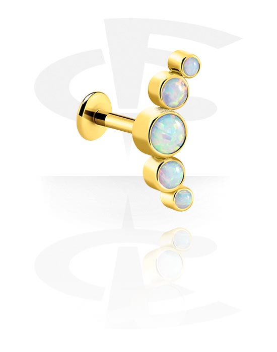 Internally Threaded Labret (Titanium) | The World's No.1 Piercing Shop