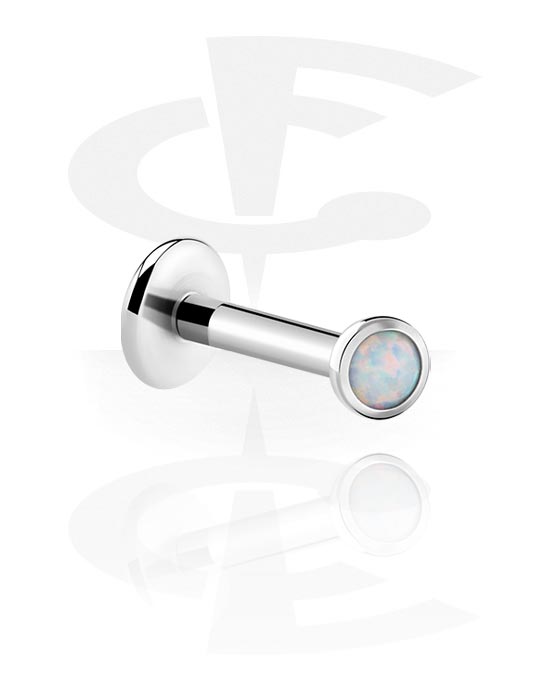 Internally Threaded Labret (Titanium) | The World's No.1 Piercing Shop