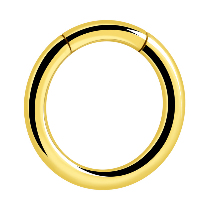 Segment Ring (Gold Plated Surgical Steel 316L) | The World's Largest ...