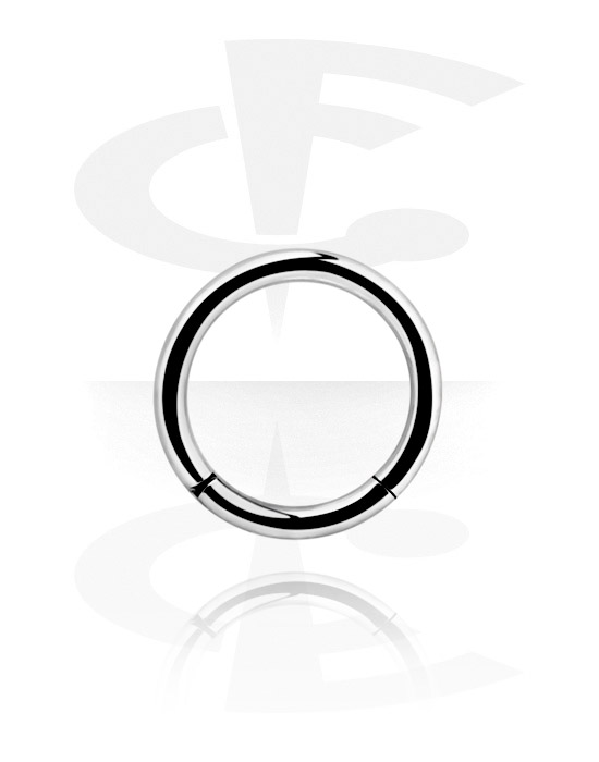 Hinged Segment Ring (Titanium) | Crazy Factory online piercing shop
