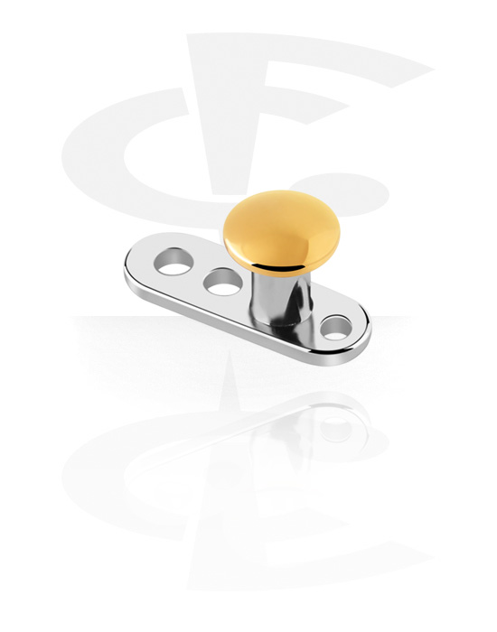 Dermal anchor with internal thread (Titanium) | The World's No.1 ...