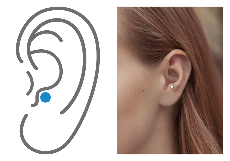 oorpiercing | Crazy Factory Piercing Online Shop