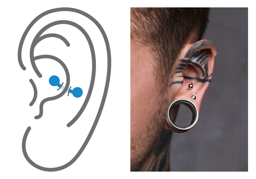 oorpiercing | Crazy Factory Piercing Online Shop