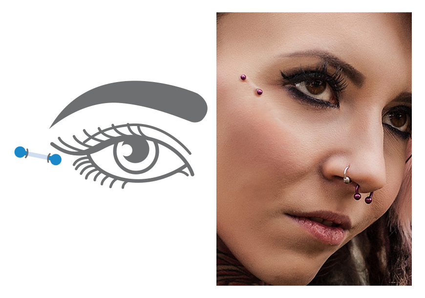 Visage | Crazy Factory magasin de piercings en ligne