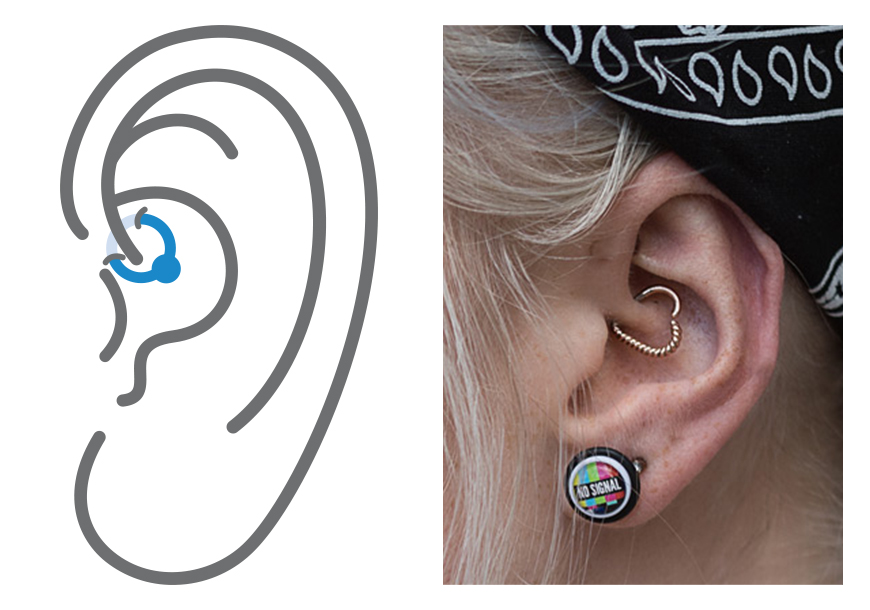 oorpiercing | Crazy Factory Piercing Online Shop