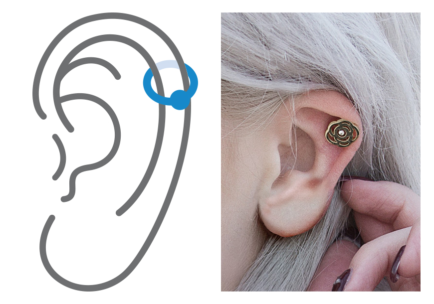 oorpiercing | Crazy Factory Piercing Online Shop