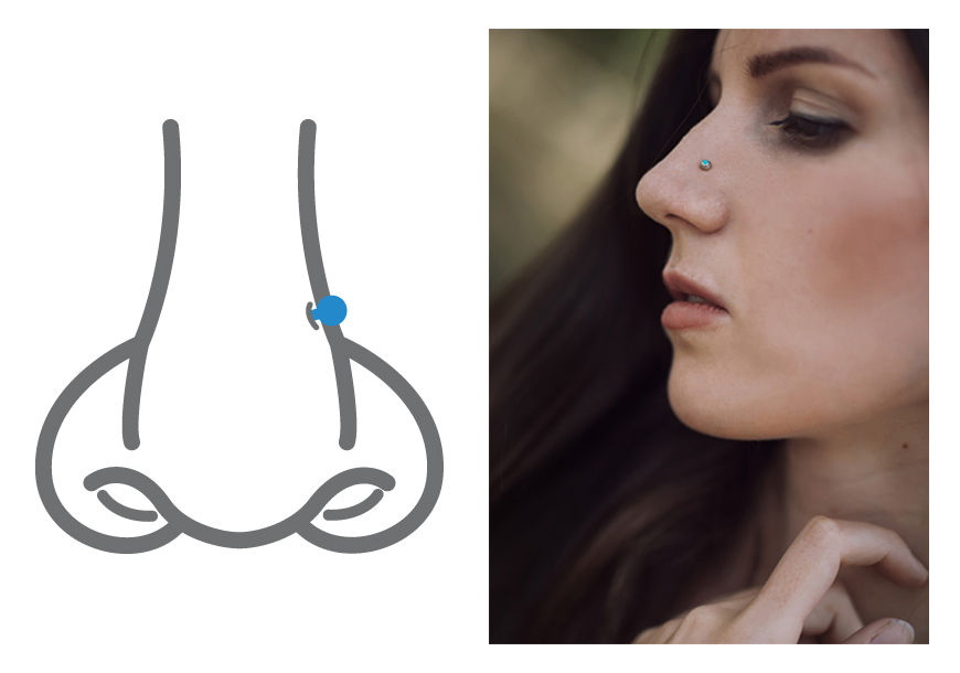Nose Piercings | The World's No.1 Piercing Shop