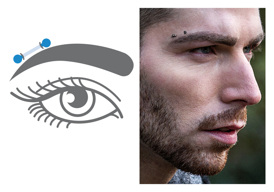 Face Piercings | The World's No.1 Piercing Shop