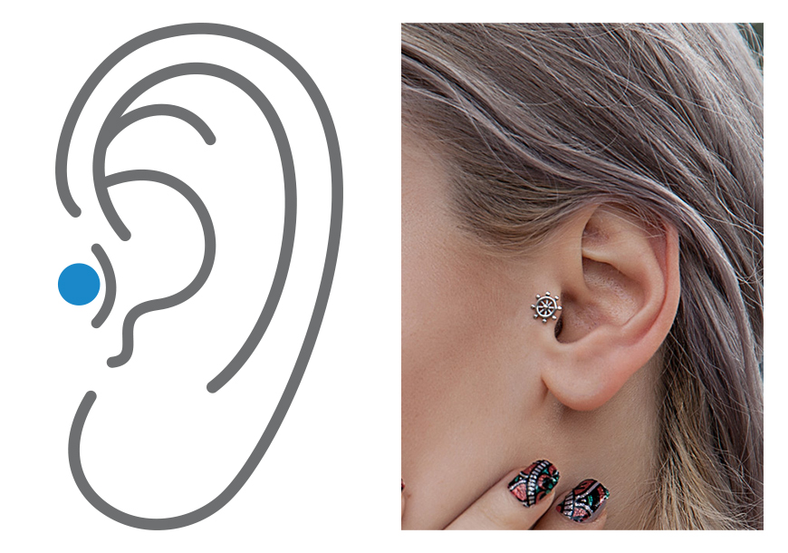 oorpiercing | Crazy Factory Piercing Online Shop