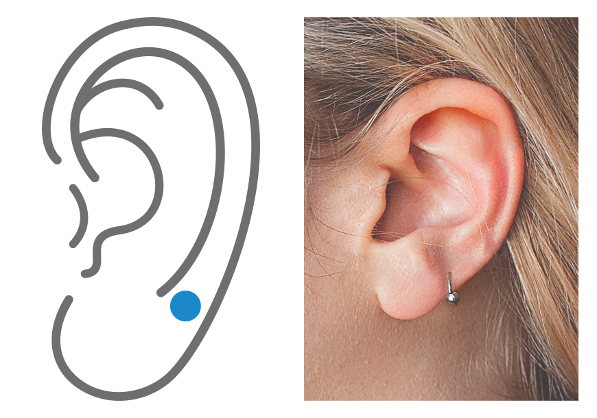 oorpiercing | Crazy Factory Piercing Online Shop